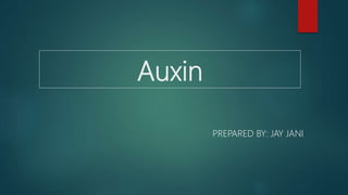 Auxin | PPTX