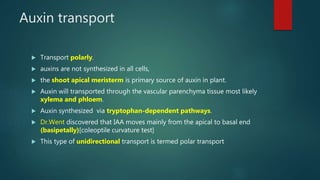 Auxin | PPTX