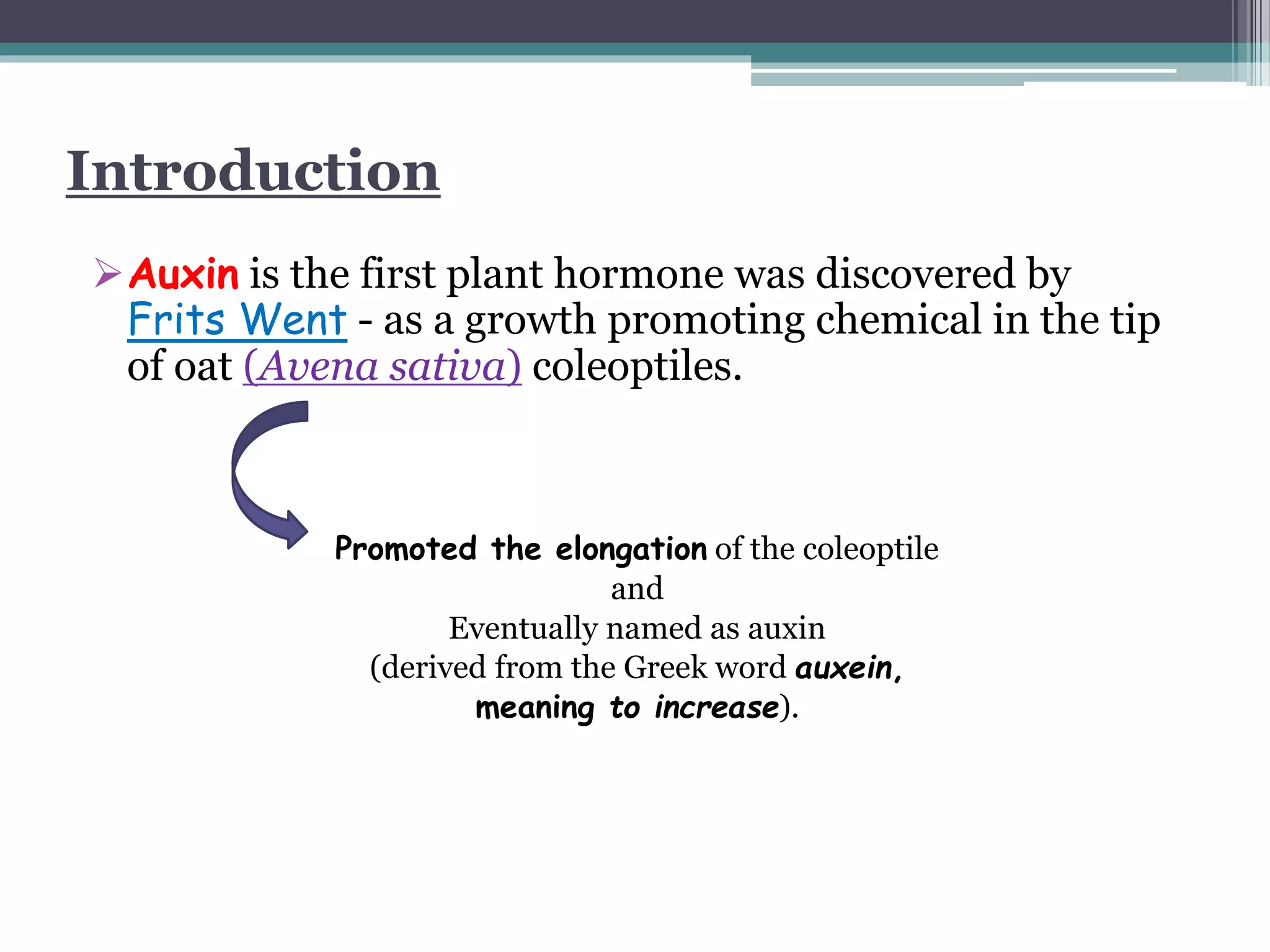 Plant Hormone (Part-1)- Auxin | PPTX | Endocrine and Metabolic Diseases | Diseases and Conditions