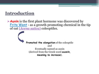 Plant Hormone (Part-1)- Auxin | PPTX