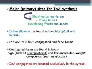 Plant Hormone (Part-1)- Auxin | PPTX