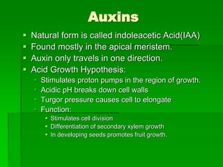 Auxin | PPT