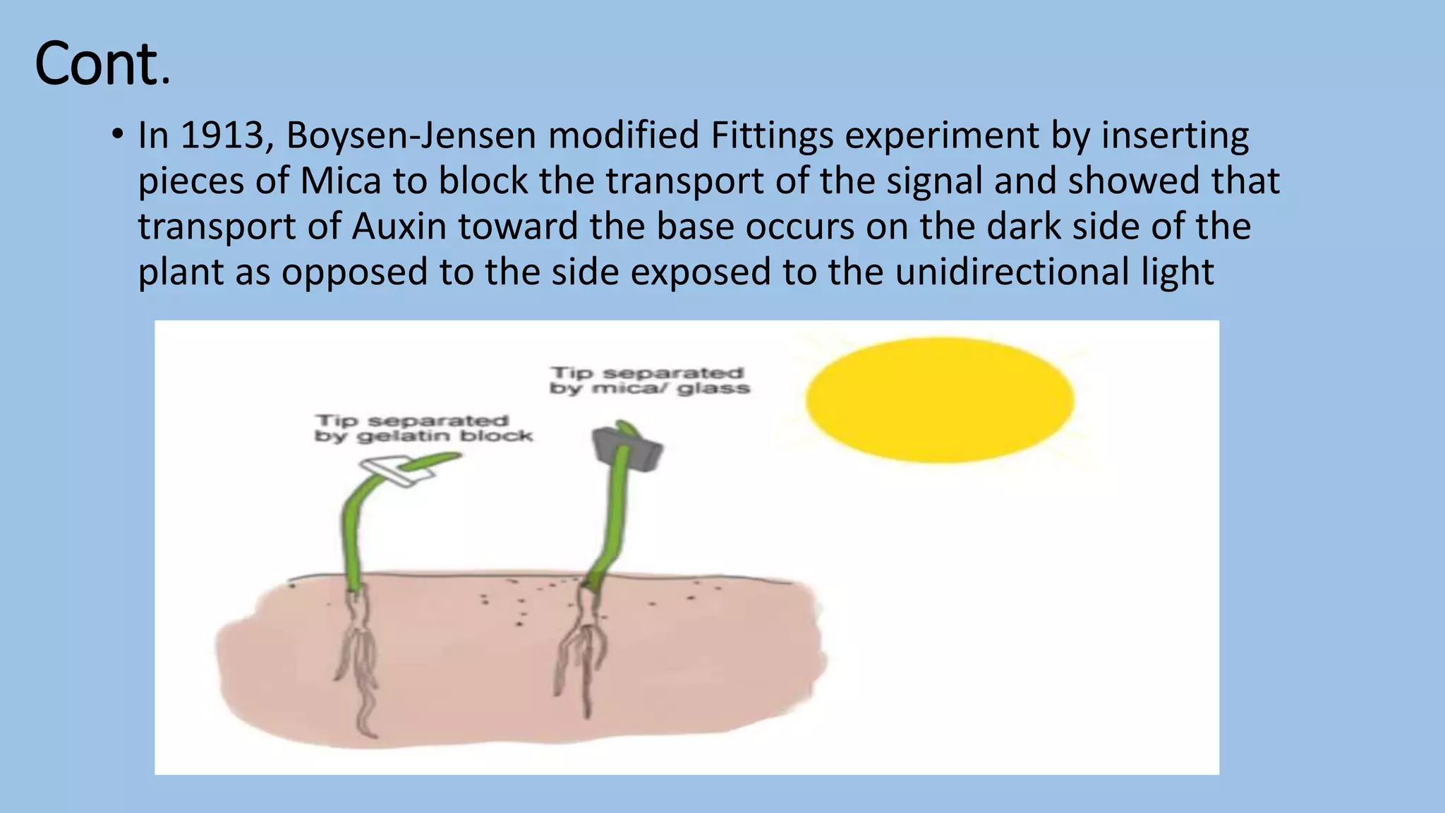 Biosynthesis of Auxin | PPTX