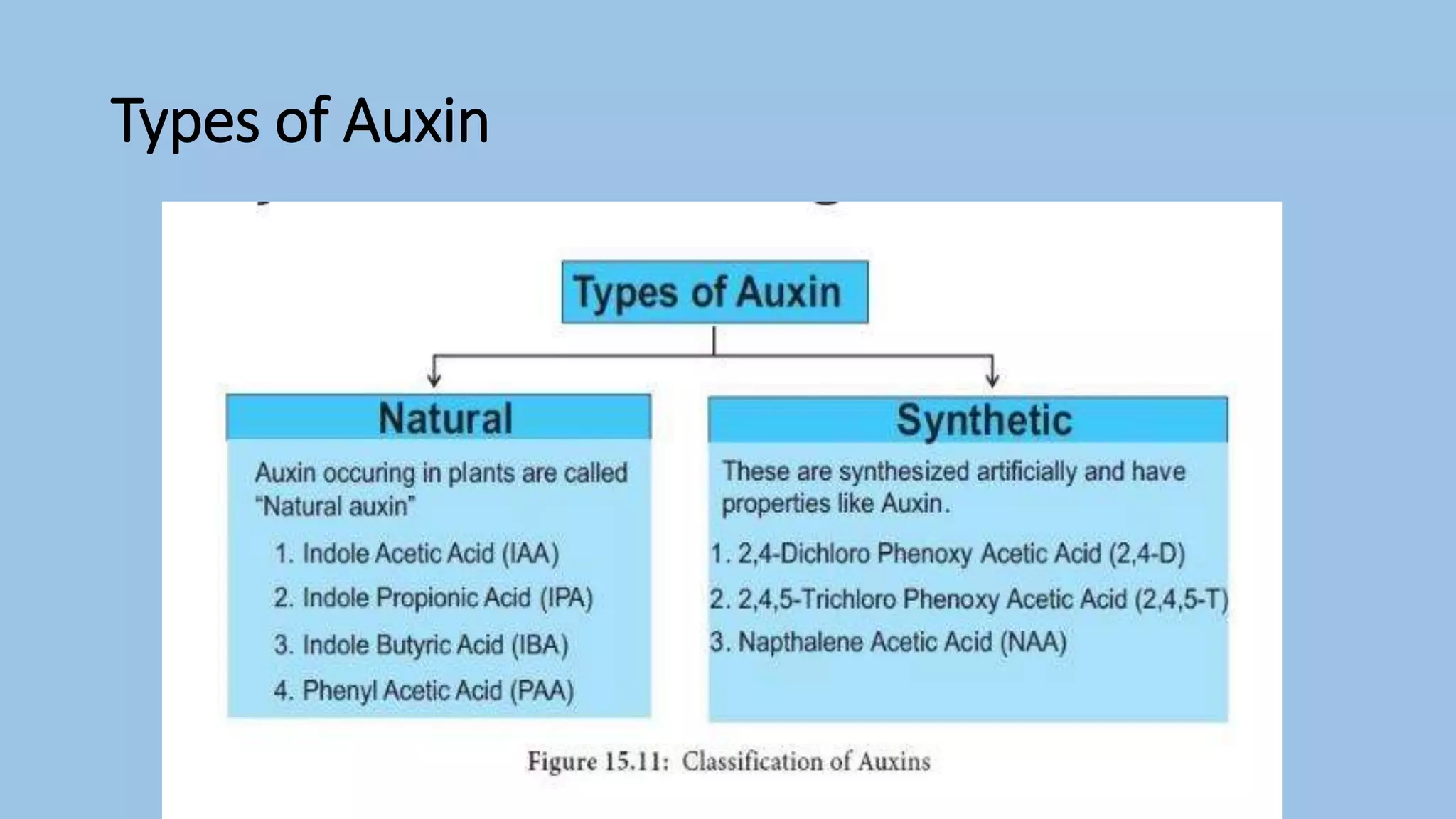 Biosynthesis of Auxin | PPTX