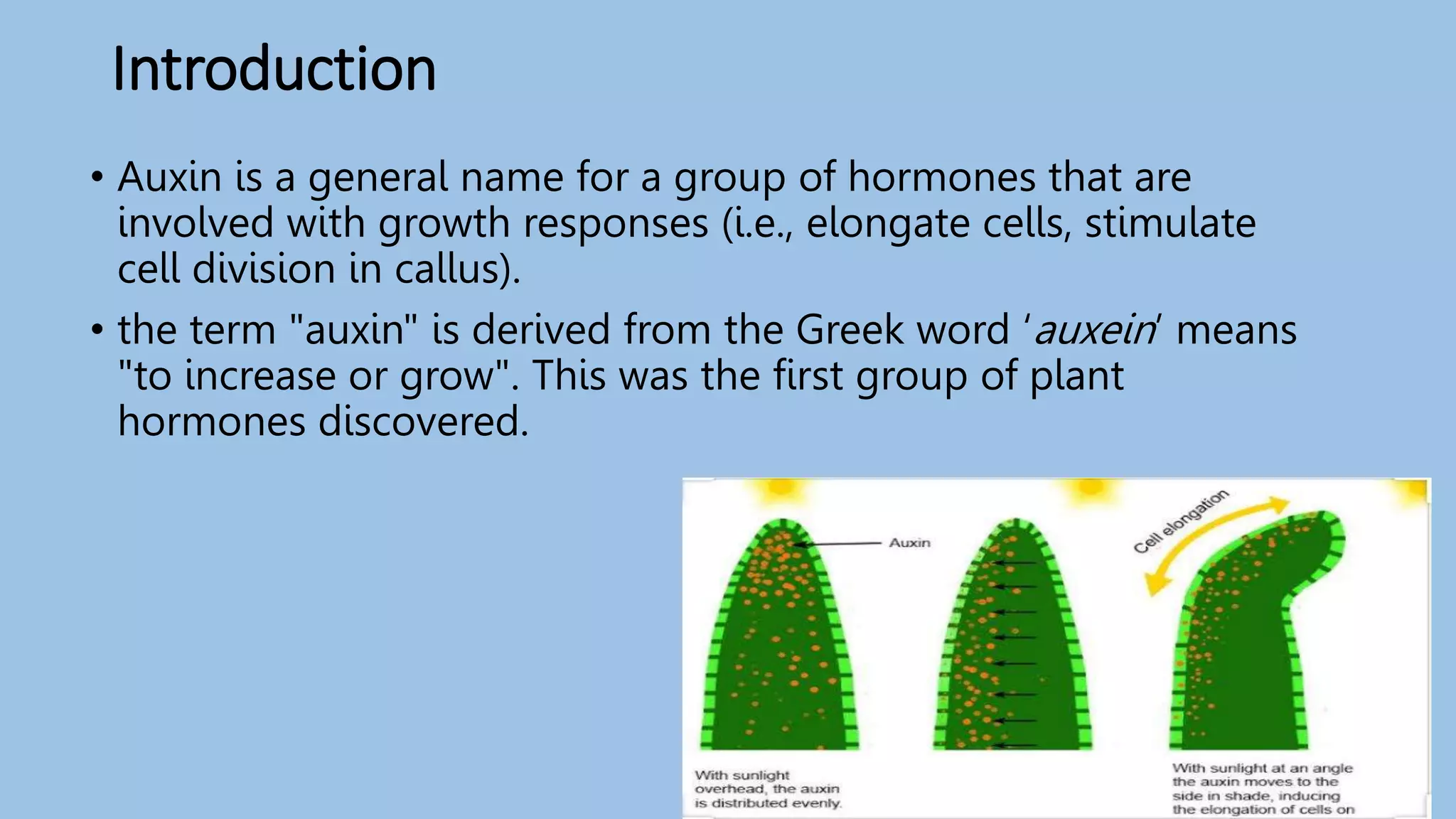Biosynthesis of Auxin | PPTX