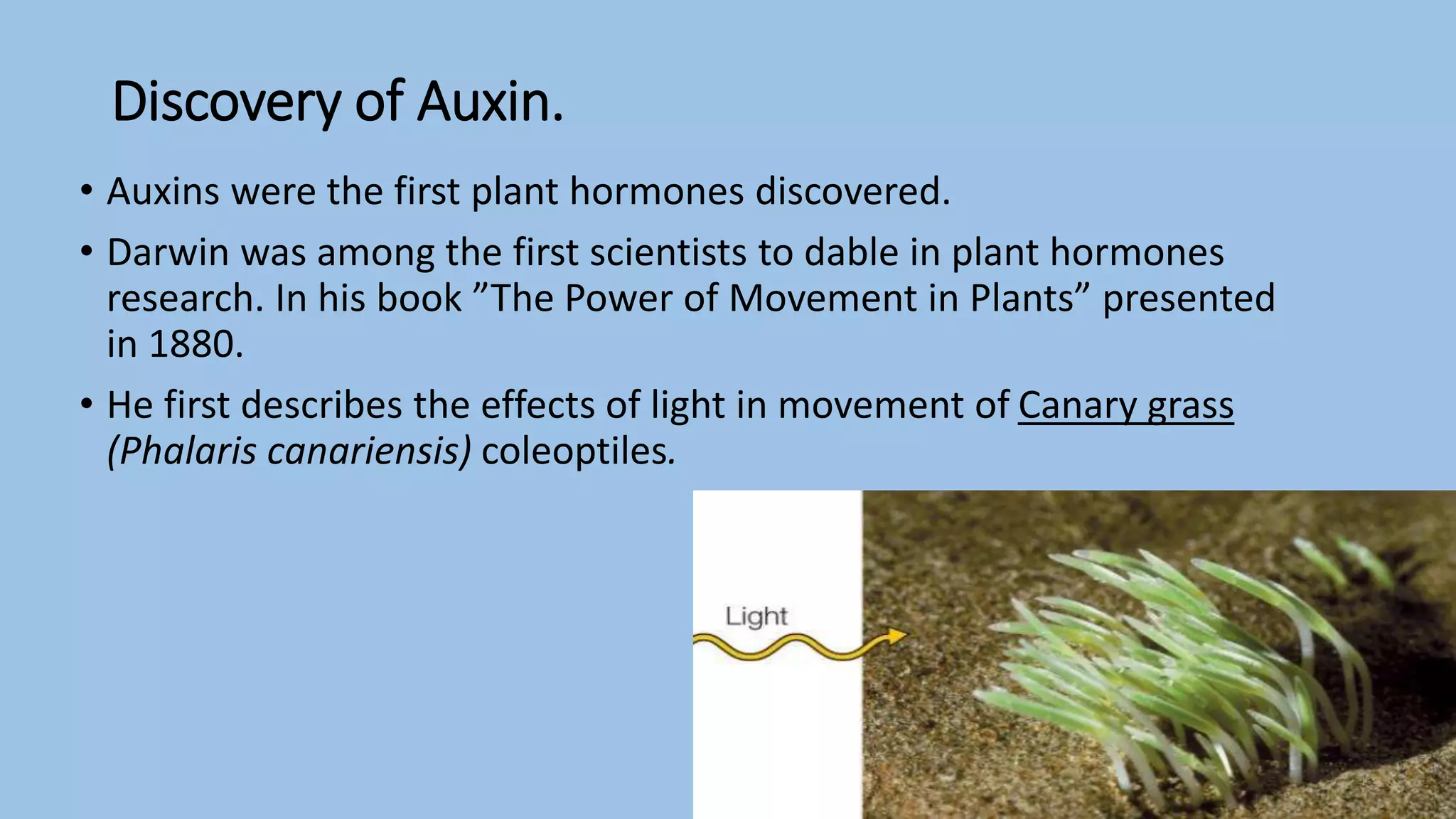 Biosynthesis of Auxin | PPTX