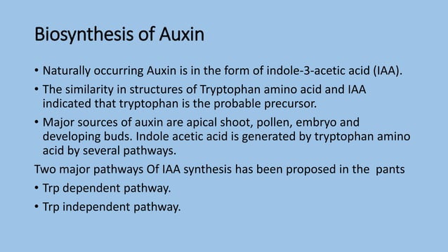 Biosynthesis of Auxin | PPTX