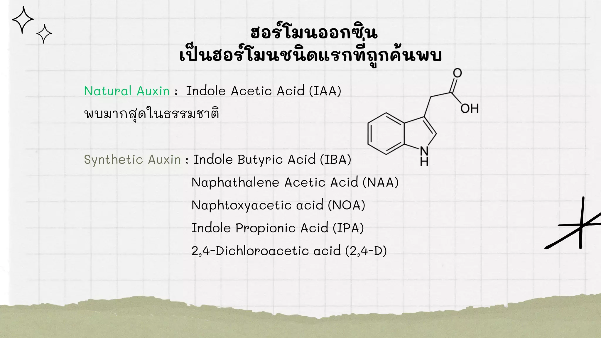 Auxin.pdf