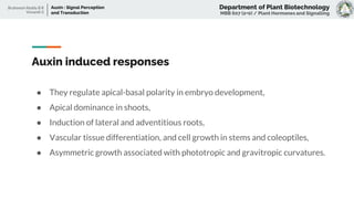 AUXIN signal perception and transduction | PPTX
