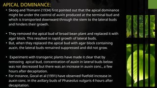Auxin , Definition, History, Structure, Mode of Action, Physiological ...