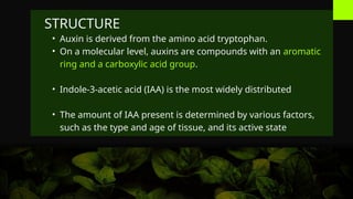 Auxin , Definition, History, Structure, Mode of Action, Physiological ...