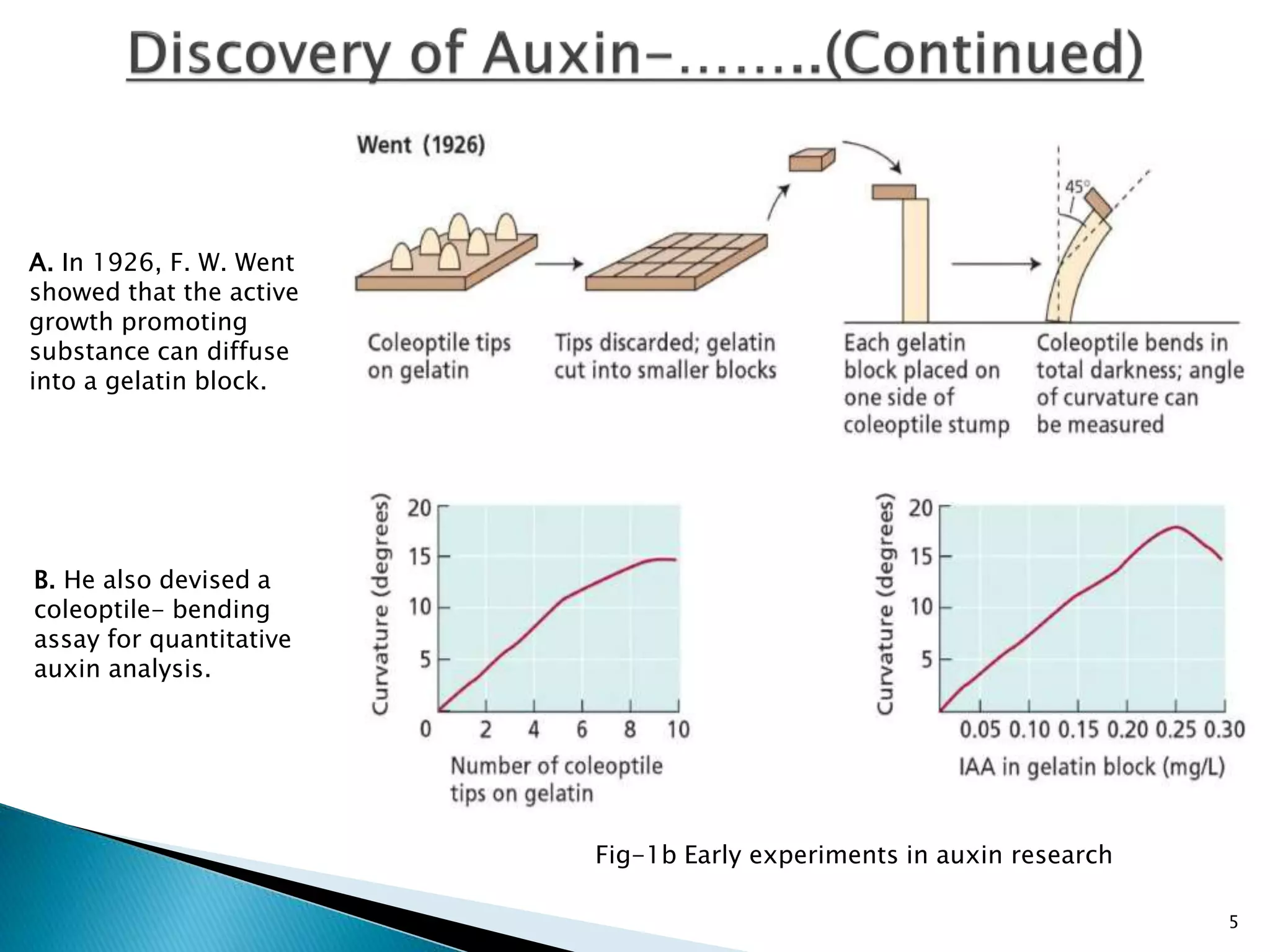 Auxin a complete overview | PPTX