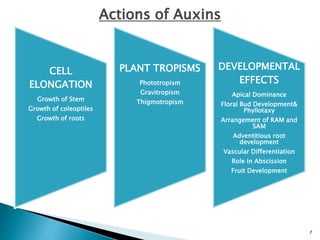 Auxin a complete overview | PPT