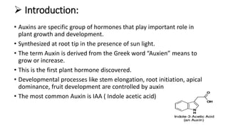 Auxins | PPTX