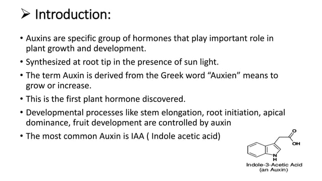 Auxins | PPTX | Agriculture | Industries