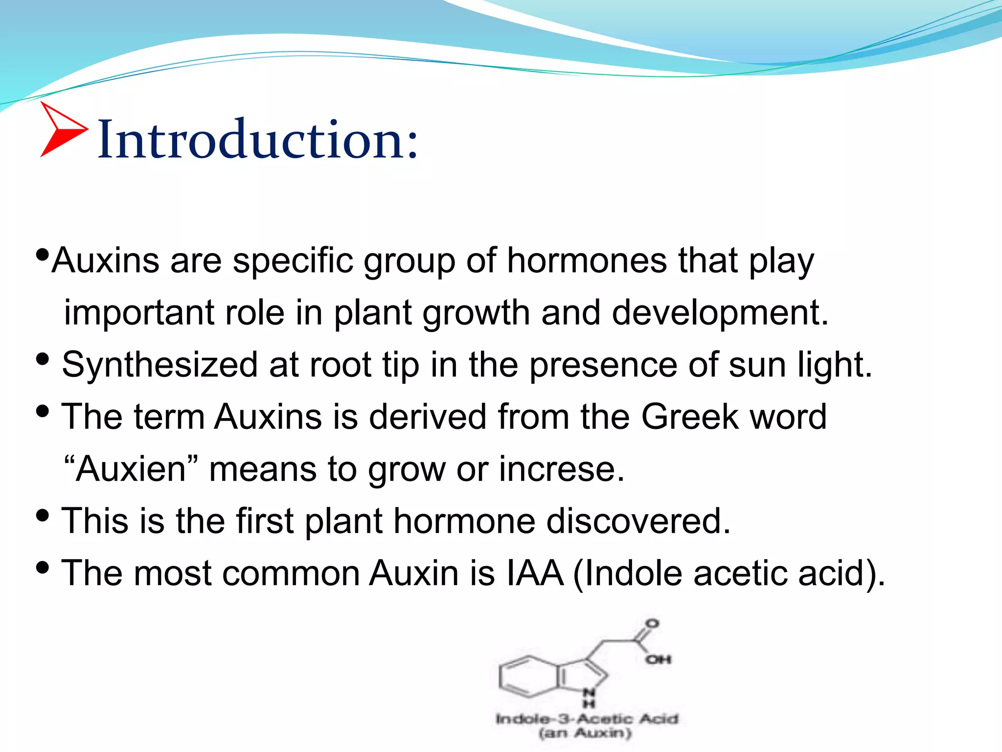 Auxins | PPTX