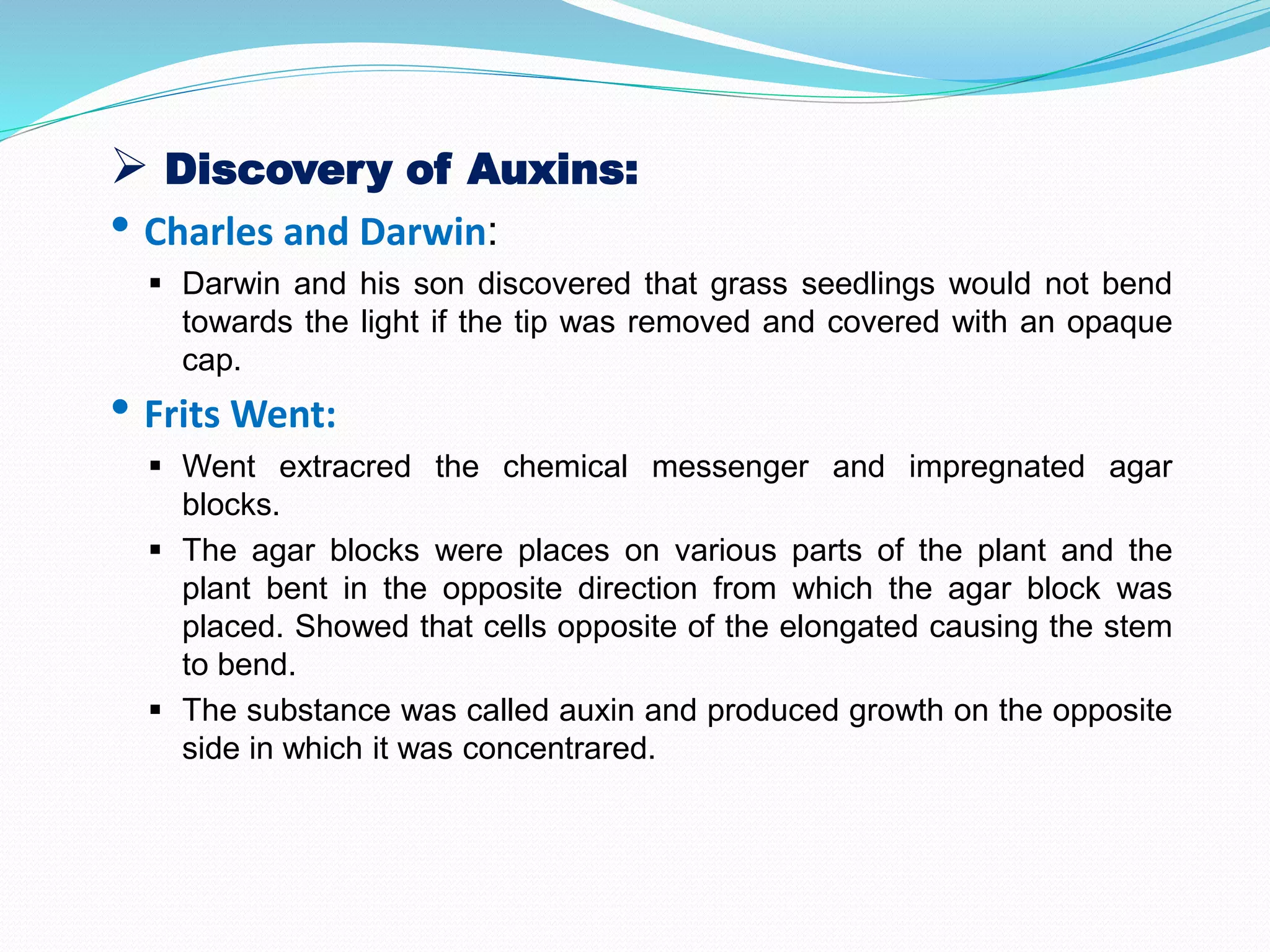 Auxins | PPTX
