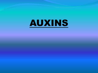 Auxins | PPTX