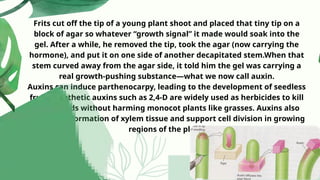 AUXINS_20251104_184318_0000.pptx. auxin part of biology | PPTX