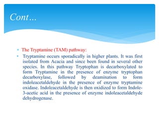 Auxins biosynthesis physiological role and mechanism | PPTX
