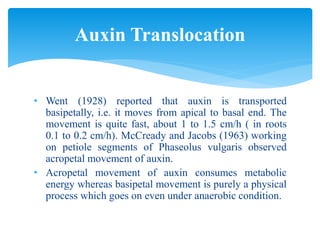 Auxins biosynthesis physiological role and mechanism | PPTX