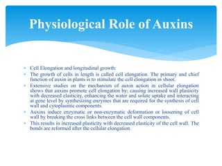 Auxins biosynthesis physiological role and mechanism | PPTX