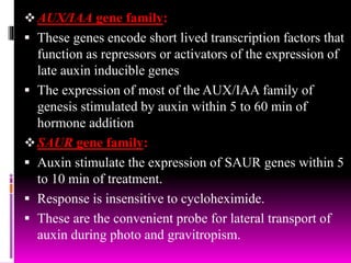 Auxin signal transduction and perception | PPTX