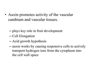 Auxin Plant Growth Regulaors in Horticulture | PPTX