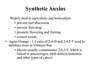 Auxin Plant Growth Regulaors in Horticulture | PPTX