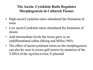 Auxin Plant Growth Regulaors in Horticulture | PPT