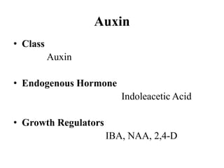 Auxin Plant Growth Regulaors in Horticulture | PPTX