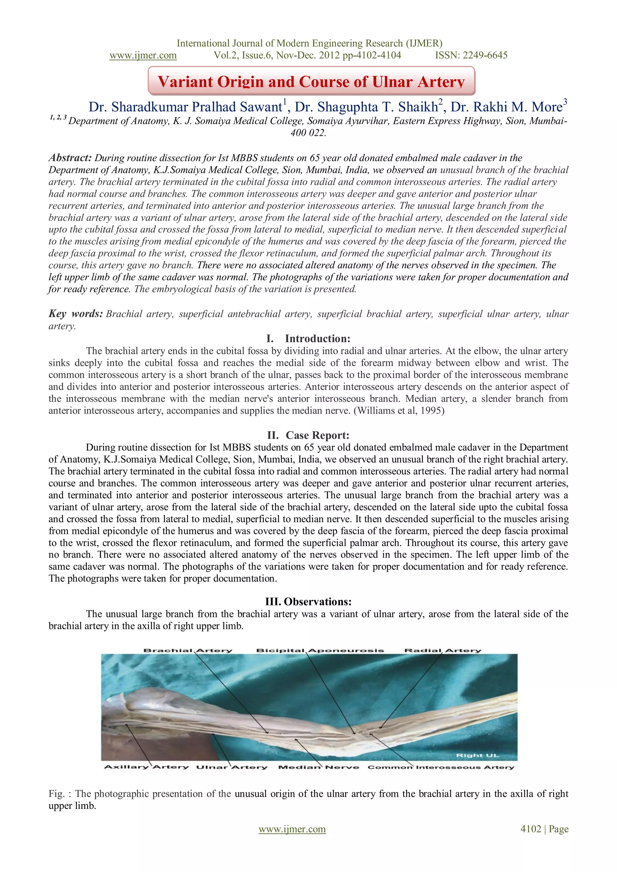 Variant Origin and Course of Ulnar Artery | PDF