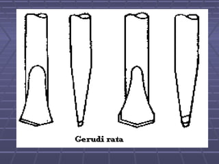 Ava 4.07 jenis2 gerudi | PPT