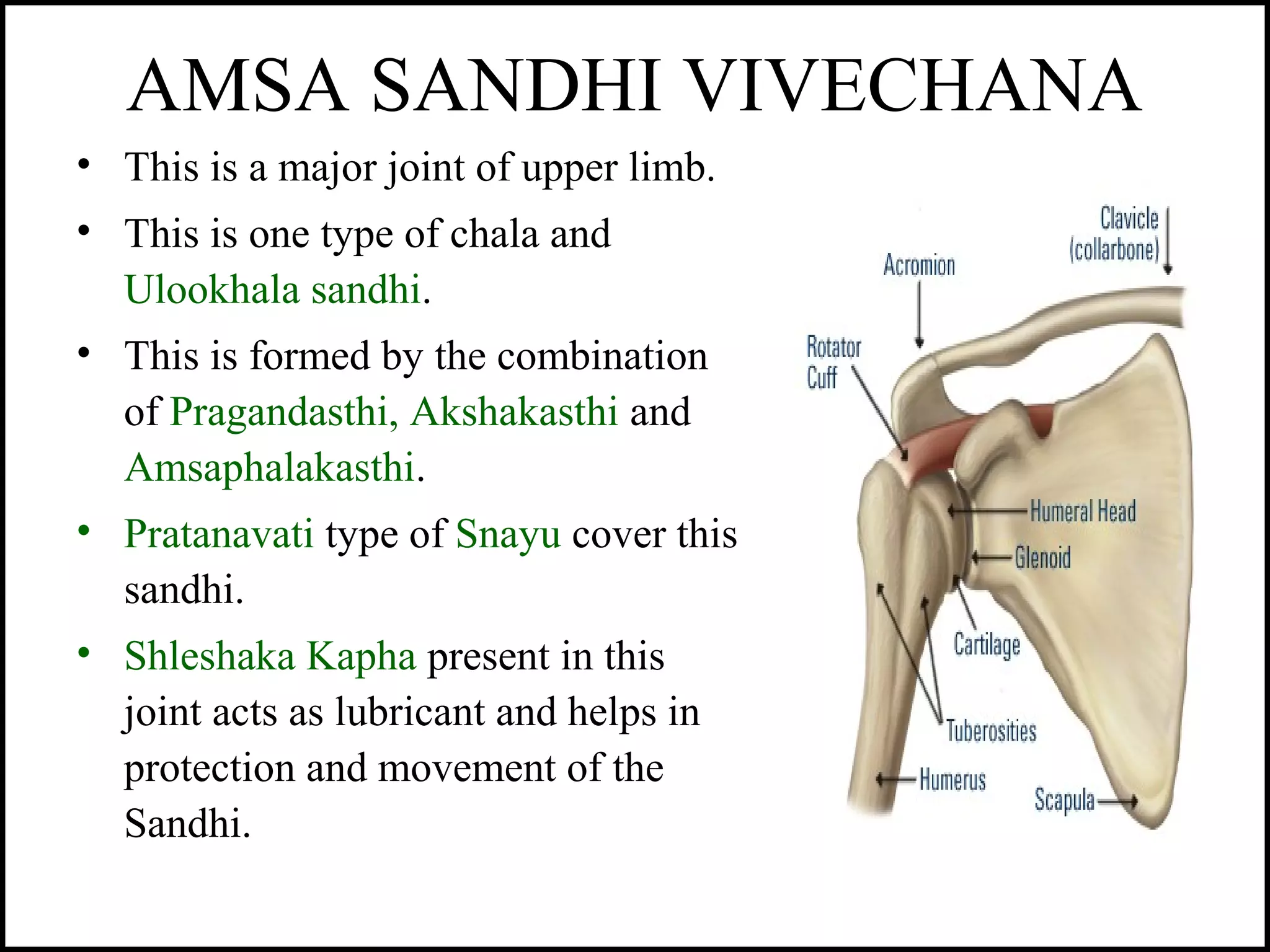 Avabahuka chikitsa dr prashanth a s | PPT