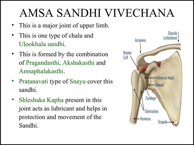Avabahuka chikitsa dr prashanth a s | PPT