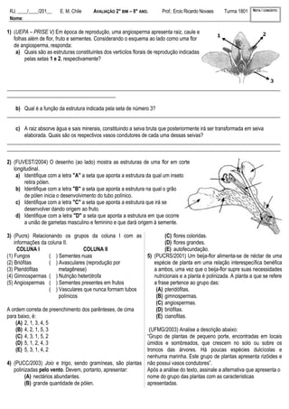 Aval 7 ano(plantae)_3 | DOC