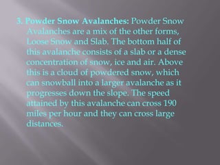 Avalanche | PPTX