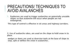 Avalanche | PPTX