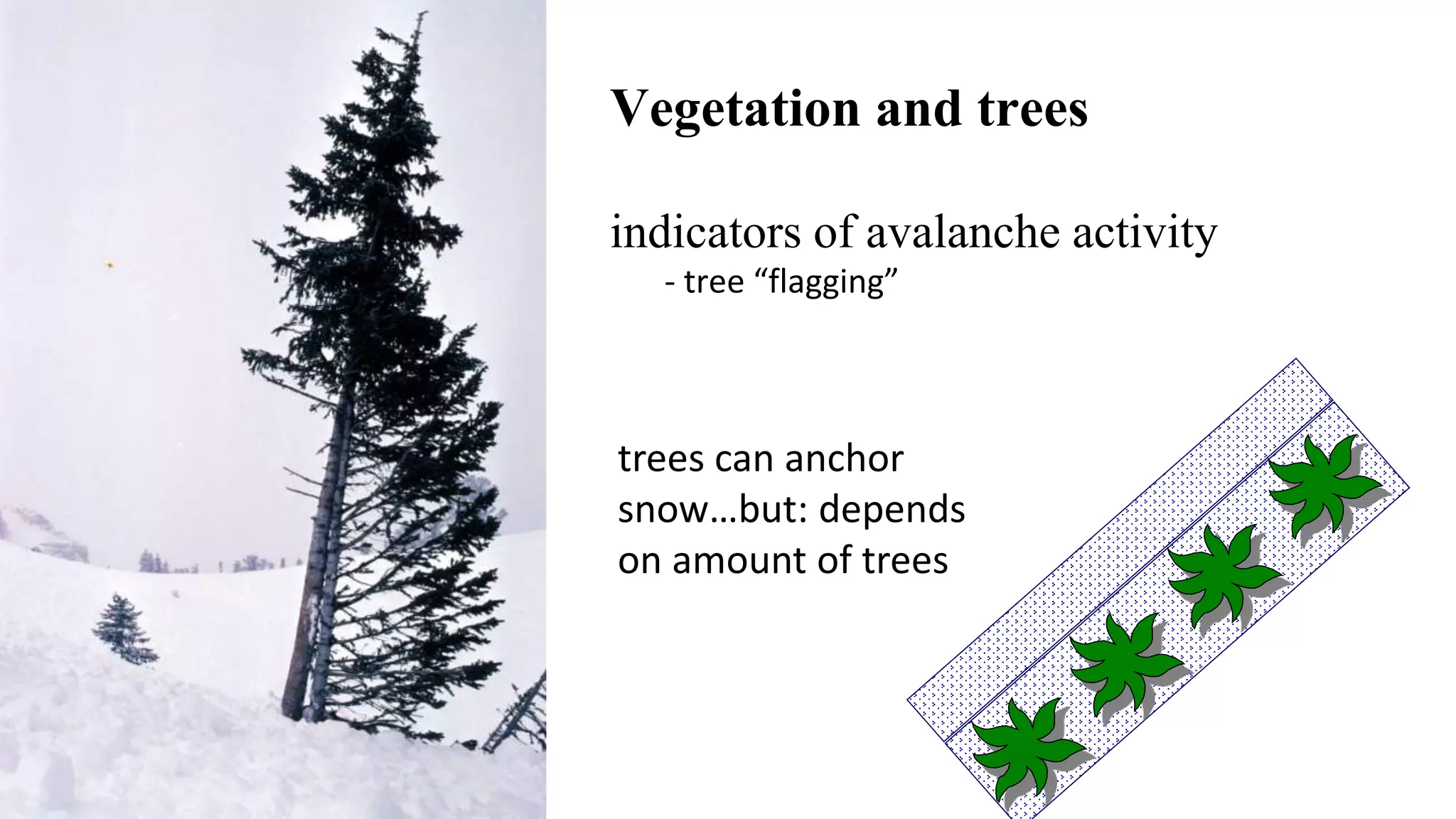 Avalanche Disaster management technology rajuvas bikaner | PPTX