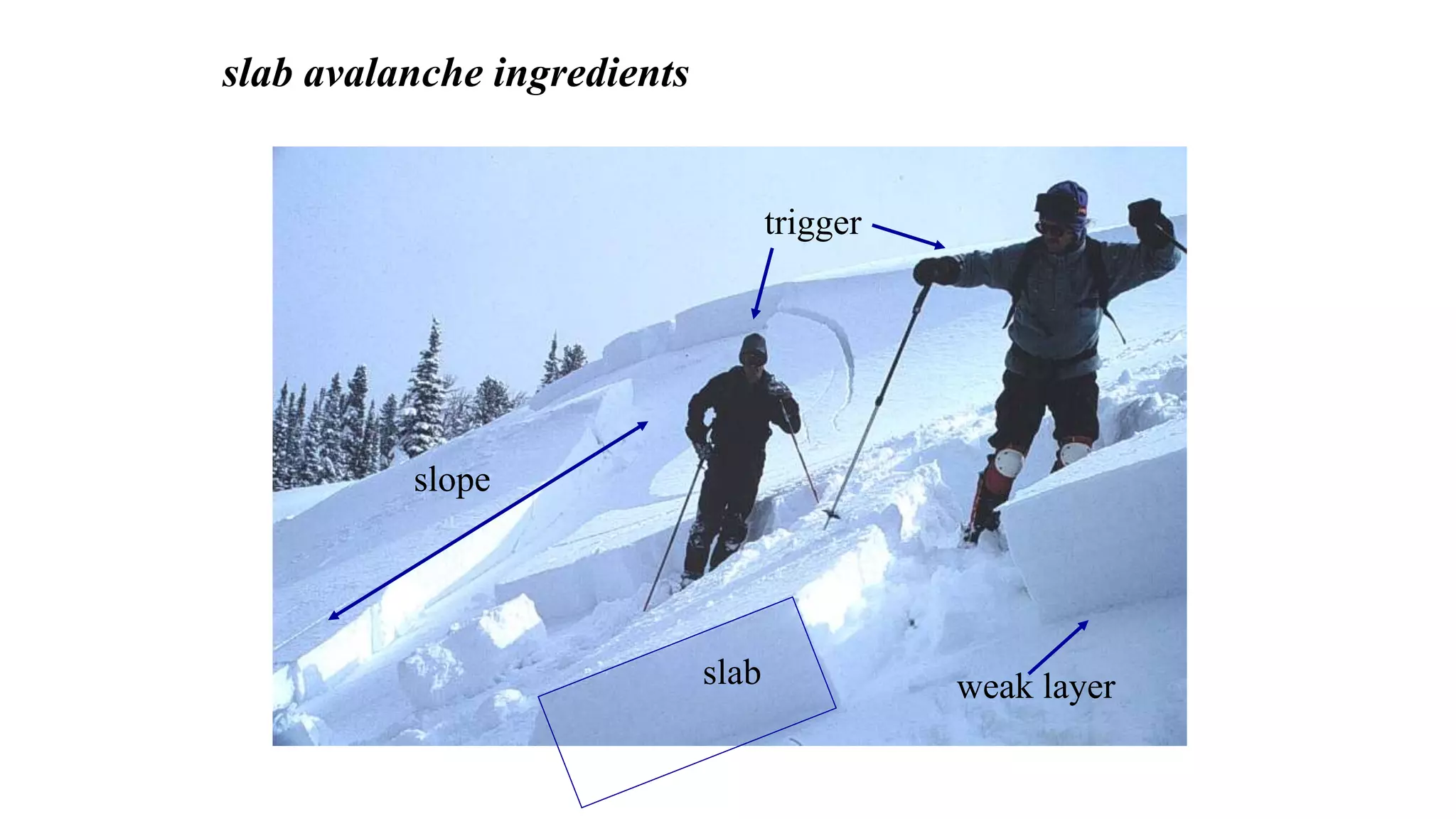 Avalanche Disaster management technology rajuvas bikaner | PPTX