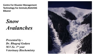Avalanche Disaster management technology rajuvas bikaner | PPTX