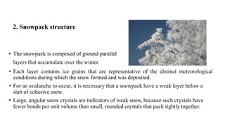 Avalanche Disaster management technology rajuvas bikaner | PPTX