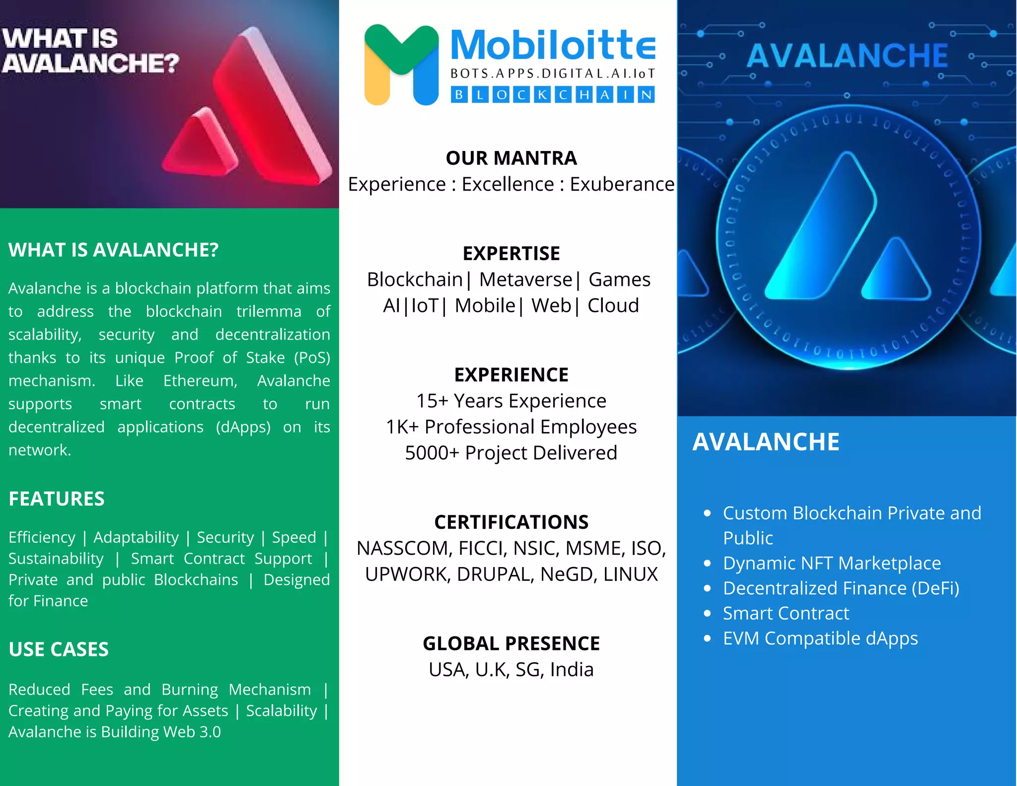 Avalanche Blockchain Development | PDF