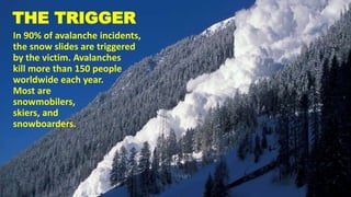 HUMANITIES YEAR 9: AVALANCHES | PPTX