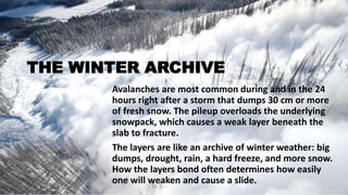 HUMANITIES YEAR 9: AVALANCHES | PPTX | Weather | Science