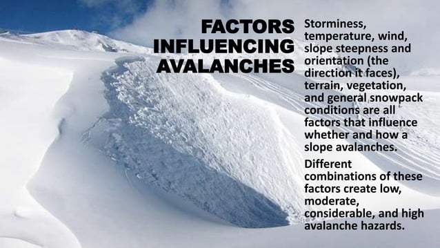 HUMANITIES YEAR 9: AVALANCHES | PPTX | Weather | Science