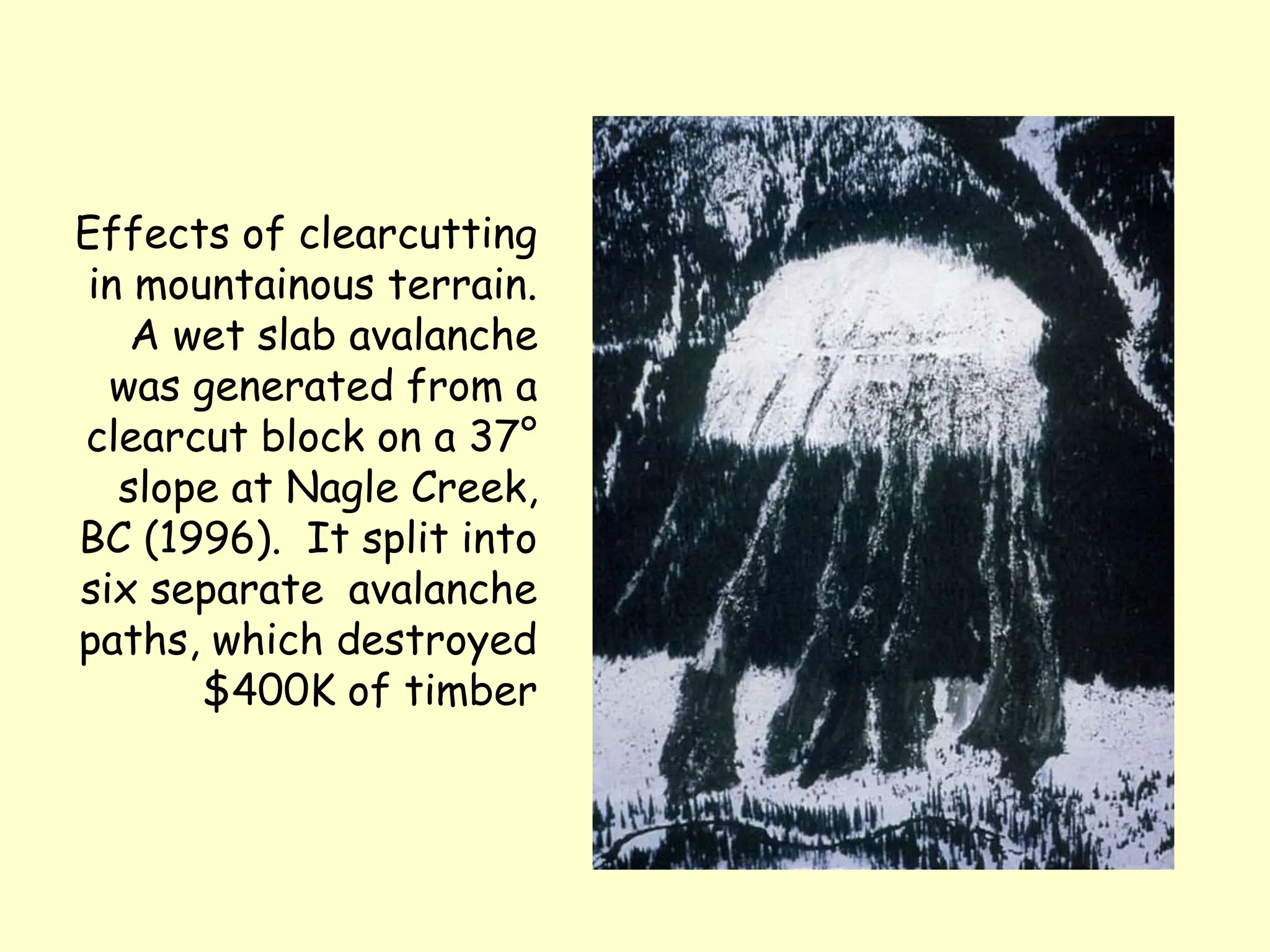 Definition, types and effects of avalanches.ppt