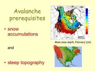 Definition, types and effects of avalanches.ppt