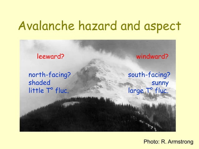 Definition, types and effects of avalanches.ppt