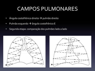 Avaliação sistemática da radiografia do tórax | PPT